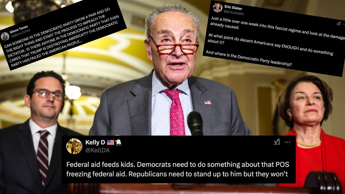 As Americans scream at Democrats to 'DO SOMETHING,' they're quickly ...