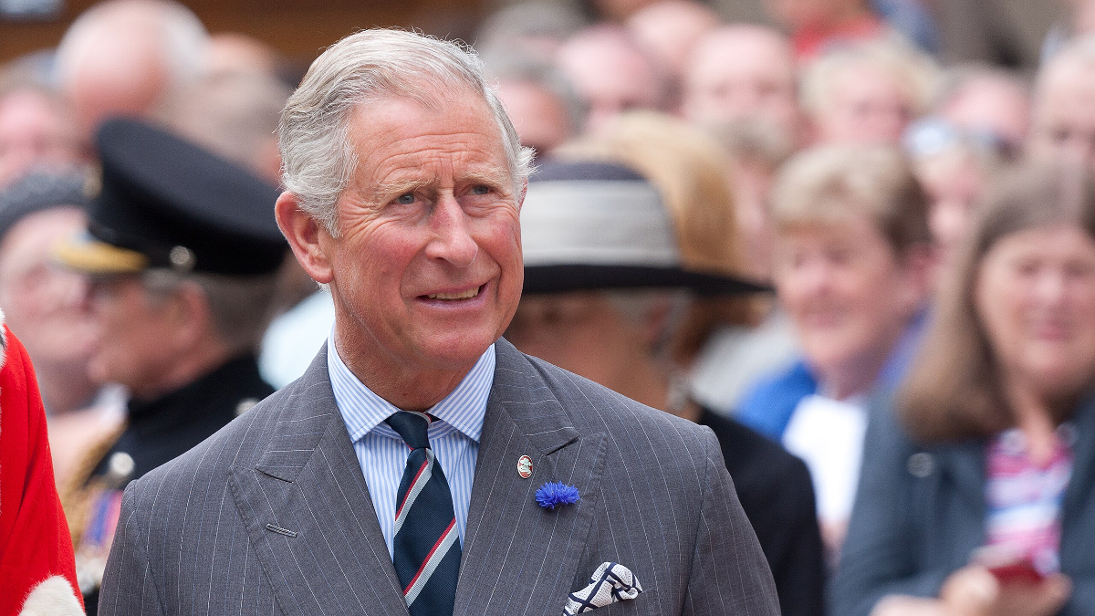 King Charles health update reveals how he's really doing as Royal plans ...