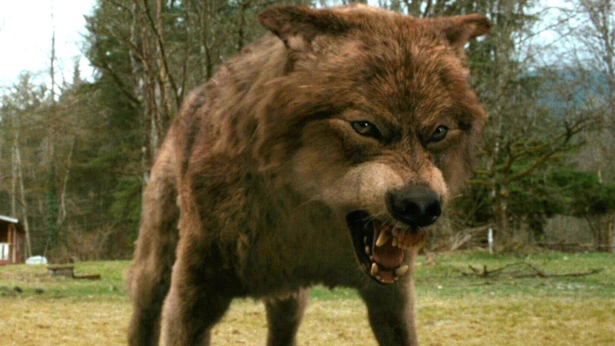 The new Taylor Lautner werewolf-hunting show may sound like a terrible ...