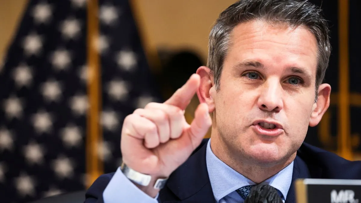 Democrats are all but guaranteed to ignore Adam Kinzinger's warning ...