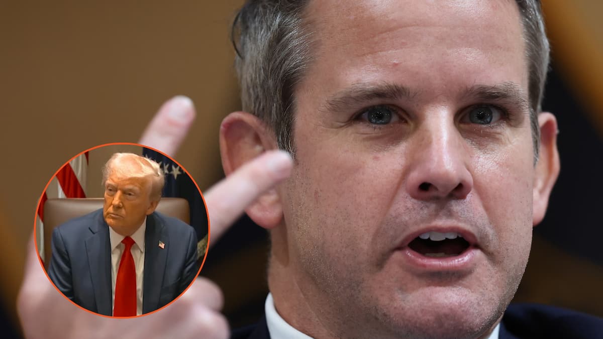 'He looks tough but isn't': Oopsie, Adam Kinzinger just spilled Donald Trump's secret sauce – We ...