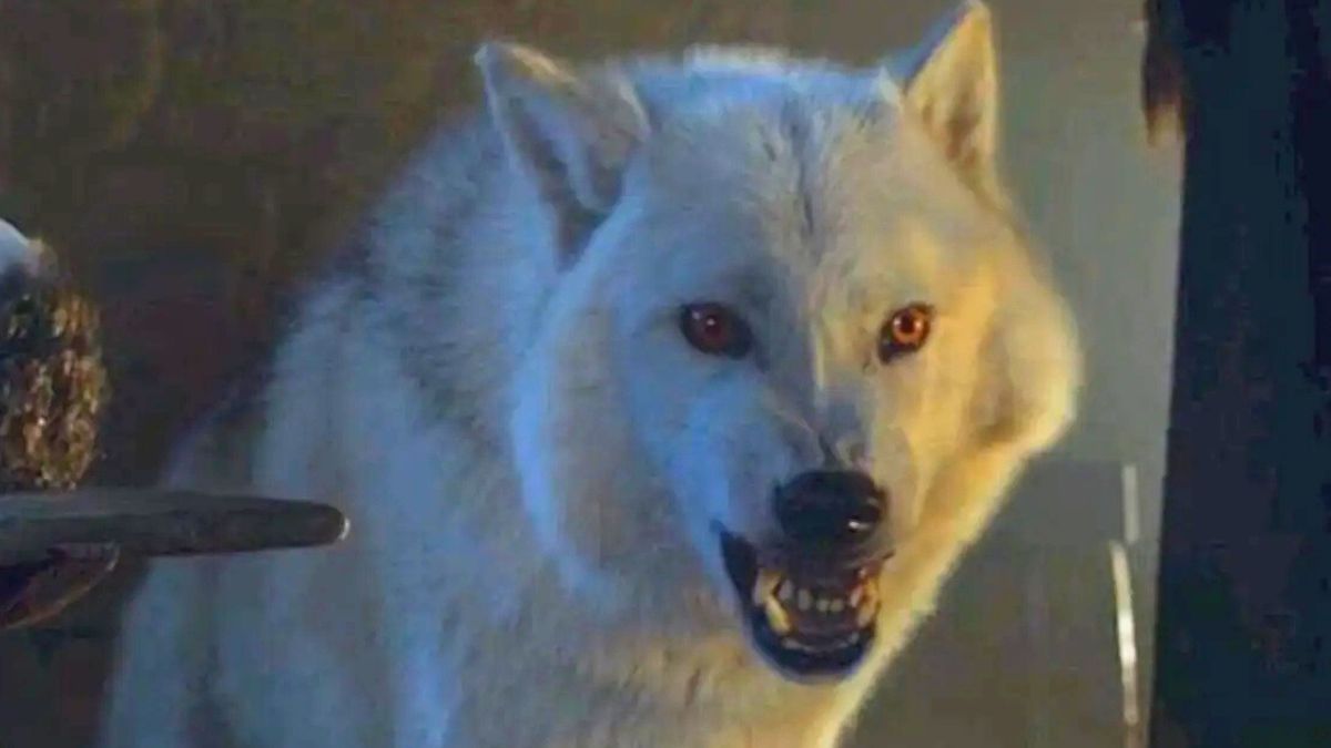 Movie News, TV News, Celebrity News, Marvel News, Netflix News, Anime ...