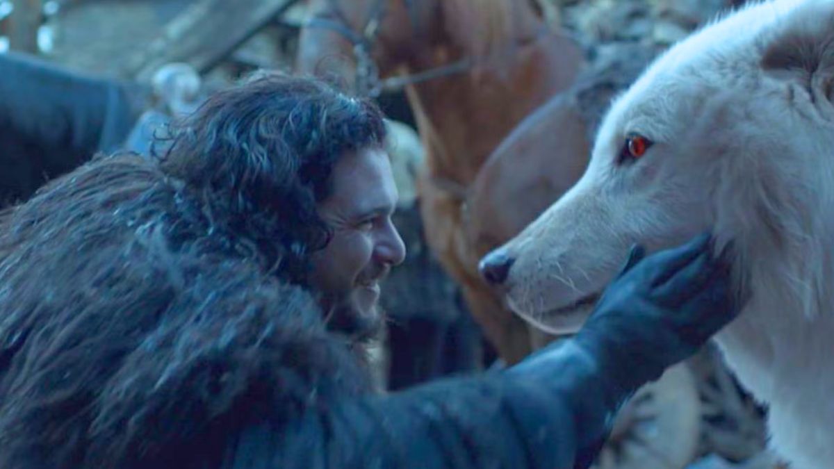 The dire wolves of House Stark have returned after 12,500 years – We ...